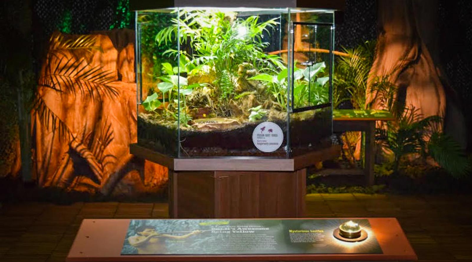 Poison Naples - “The Power Of Poison” The Great International ...